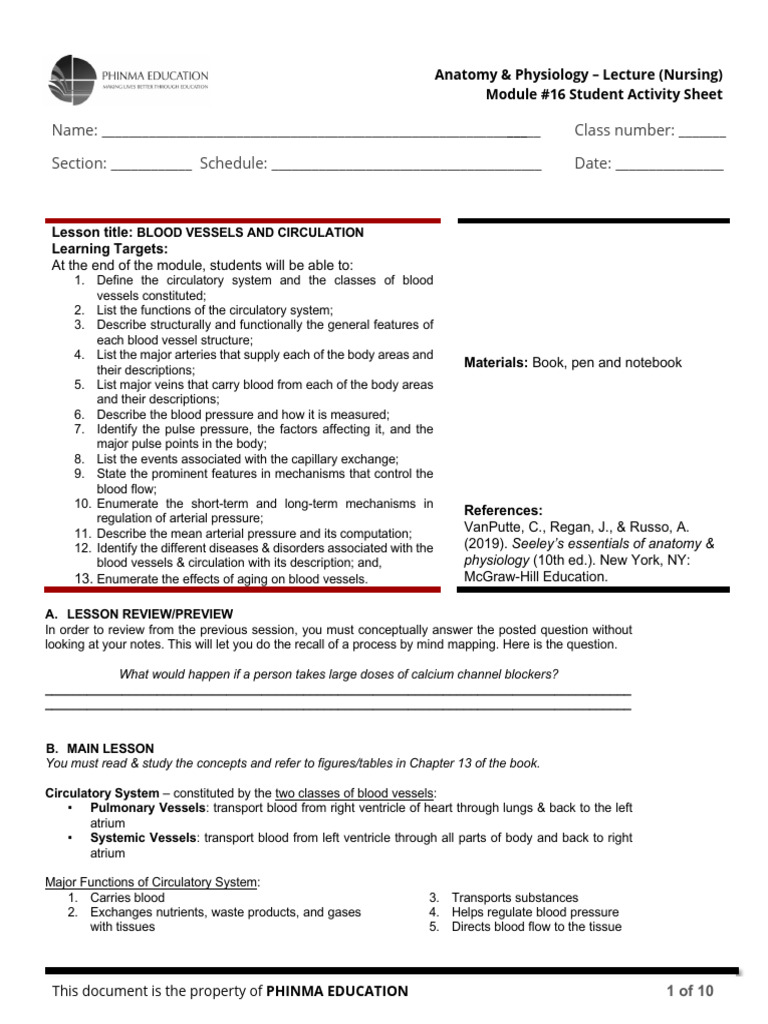 Nursing Anaphy Lec Session #16 - Sas (New Format) | PDF | Vein | Aorta