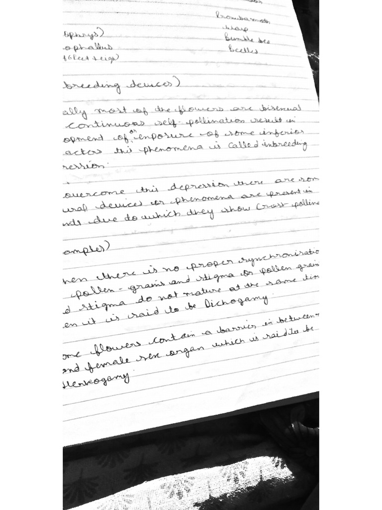 Outbreeding Devices - 20240604-1333 | PDF