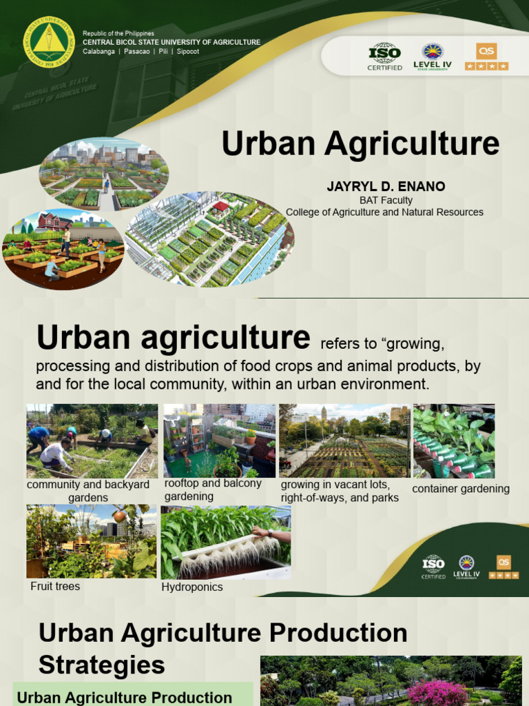 Urban Gardening | PDF | Urban Agriculture | Hydroponics