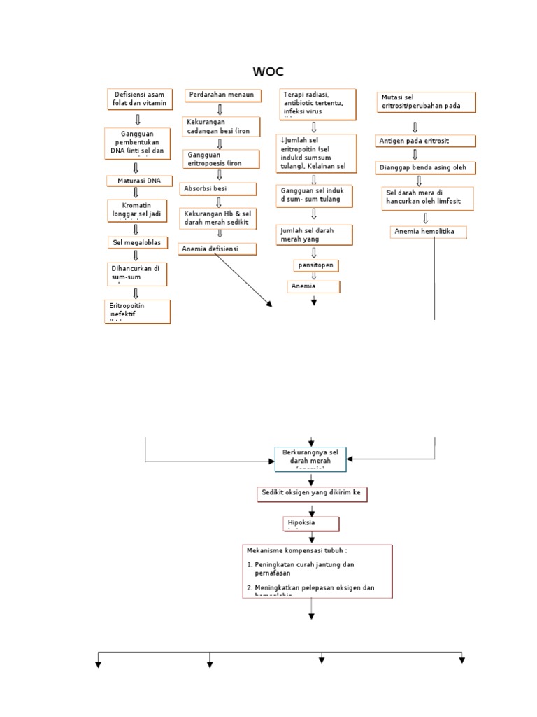 Woc Anemia