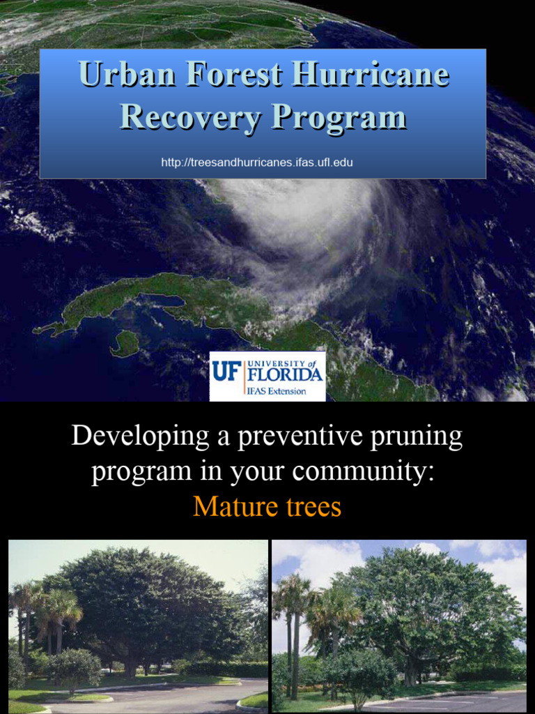 pruning_mature | PDF | Pruning | Trees