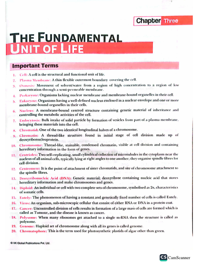 The Fundamental Unit of Life Grade 9 | PDF