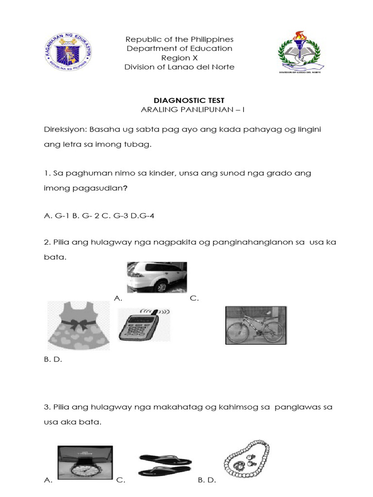 Ap1 Diagnostic Test | PDF