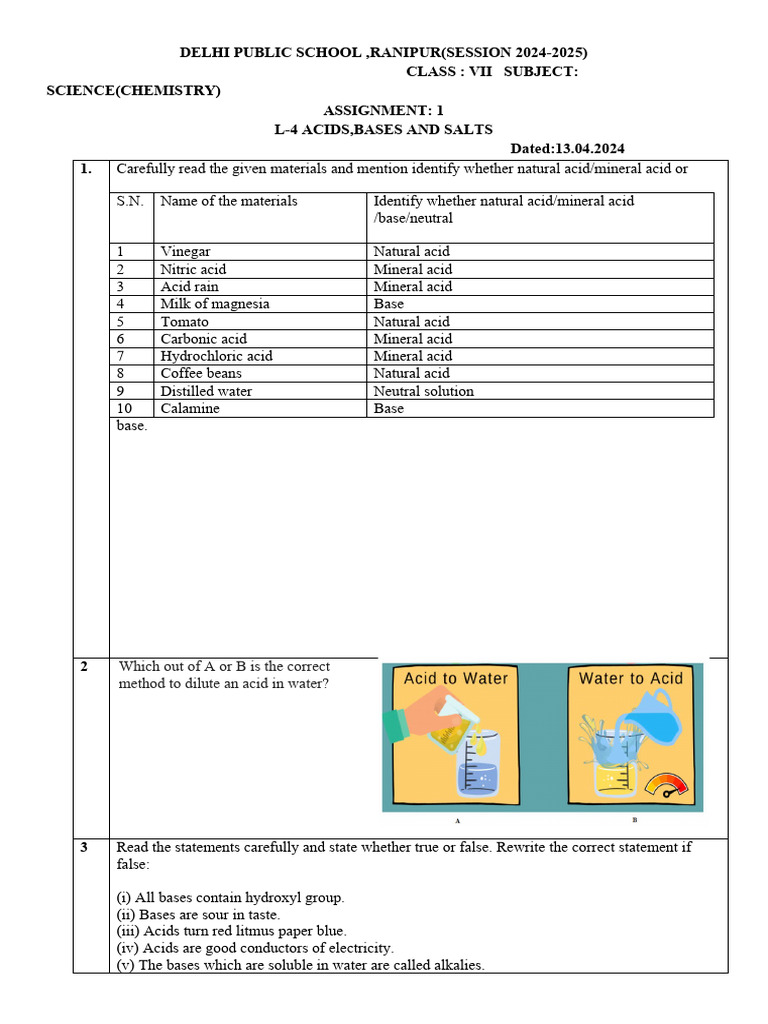 Acids, Bases, and Salts Assignment | PDF | Acid | Salt (Chemistry)
