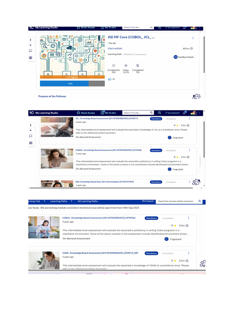 JSE MF Core (COBOL - JCL - DB2) Certification Program | PDF