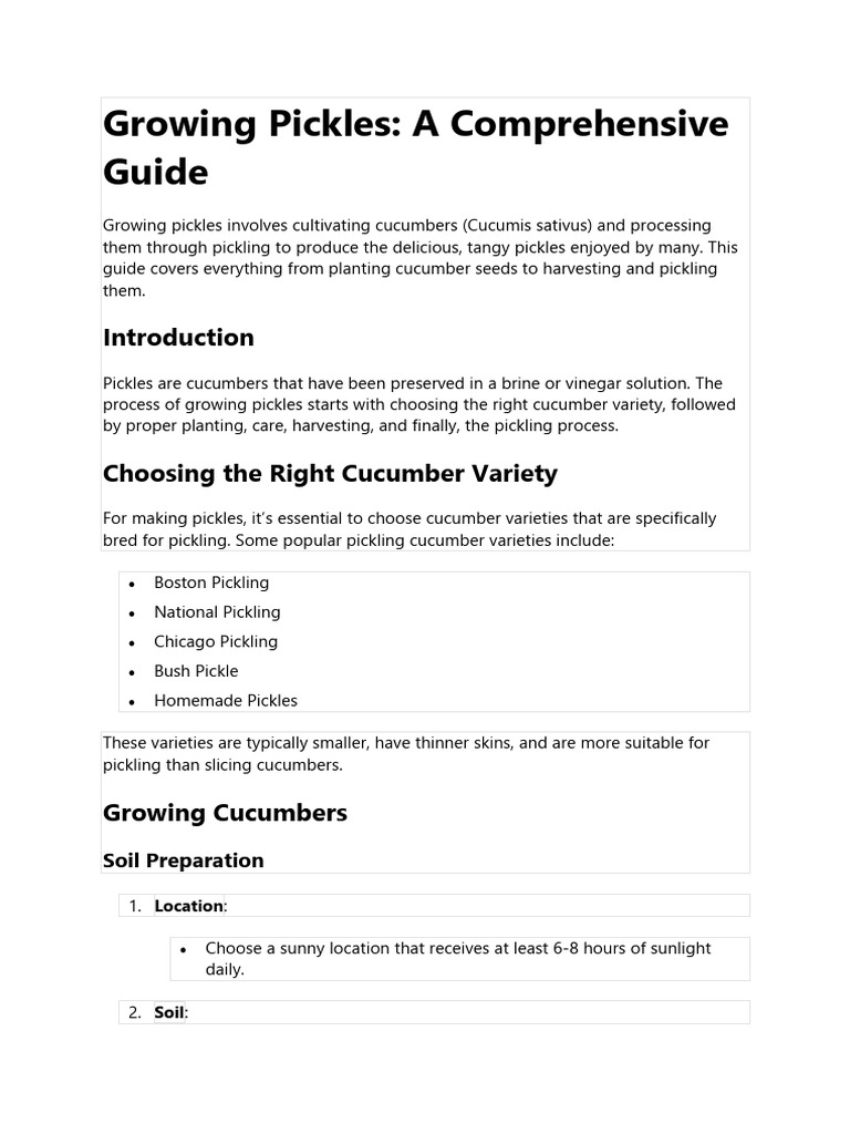 Growing Pickles | PDF | Pickled Cucumber | Cucumber