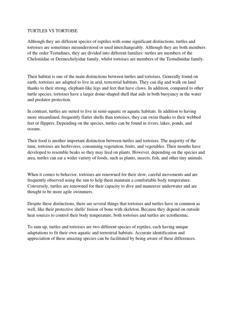 Turtles vs Tortoises: Key Differences Explained | PDF