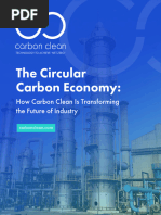 Carbon Purification Model | PDF
