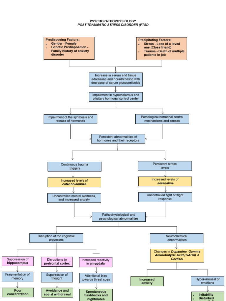 Feb 4 Pathophysiology Revised PTSD | PDF | Stress (Biology) | Anxiety