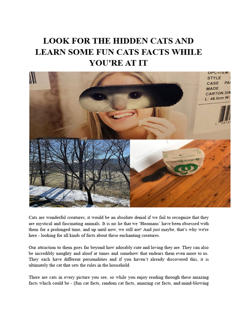 Find The Cats | Download Free PDF | Cats | Odor