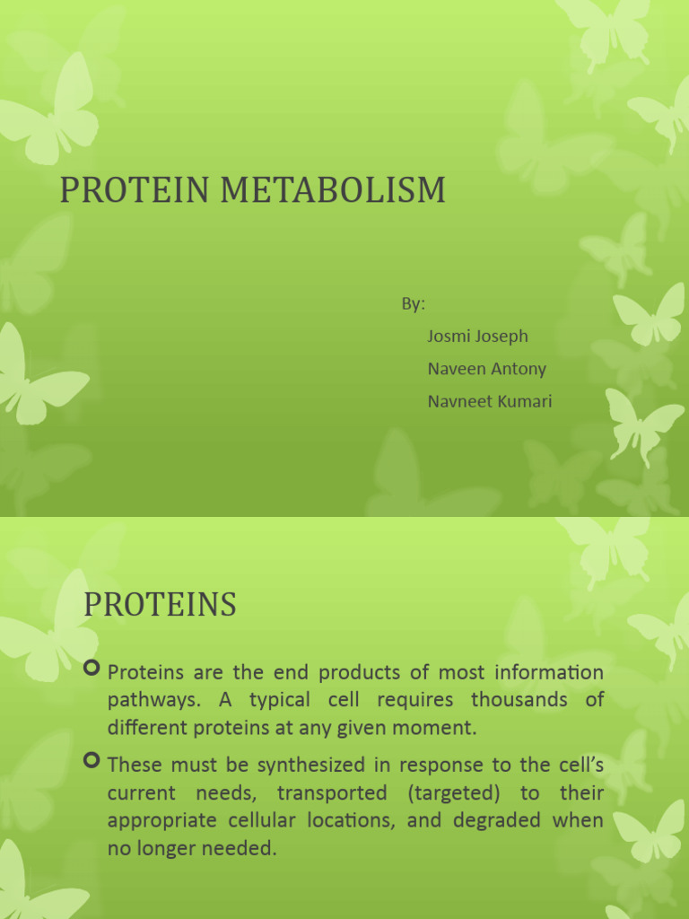 Protein Metabolism Genetic Code | Download Free PDF | Translation ...