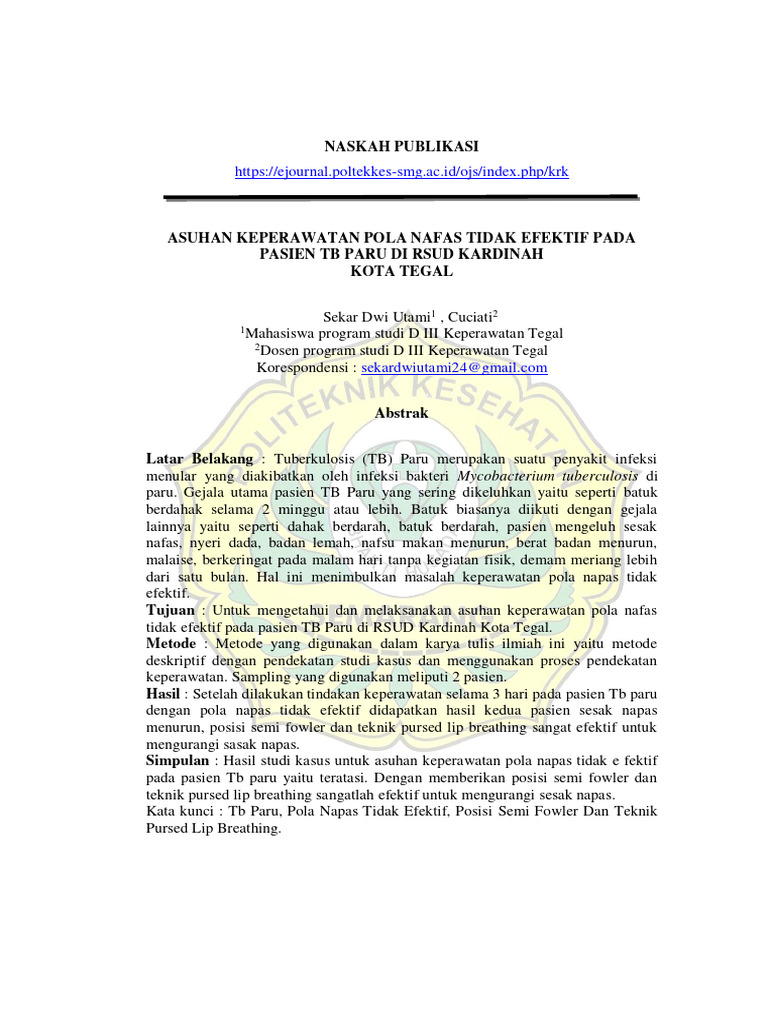 P1337421020028 36518 Naskah-Ringkas | PDF