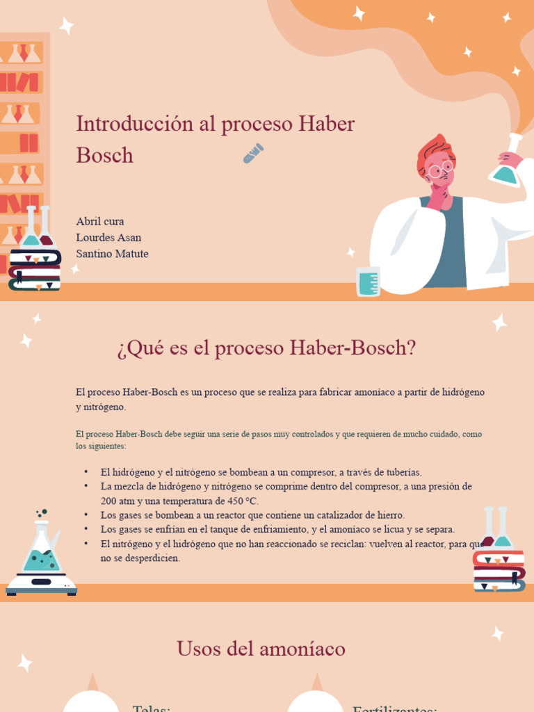 Haber Bosch | PDF