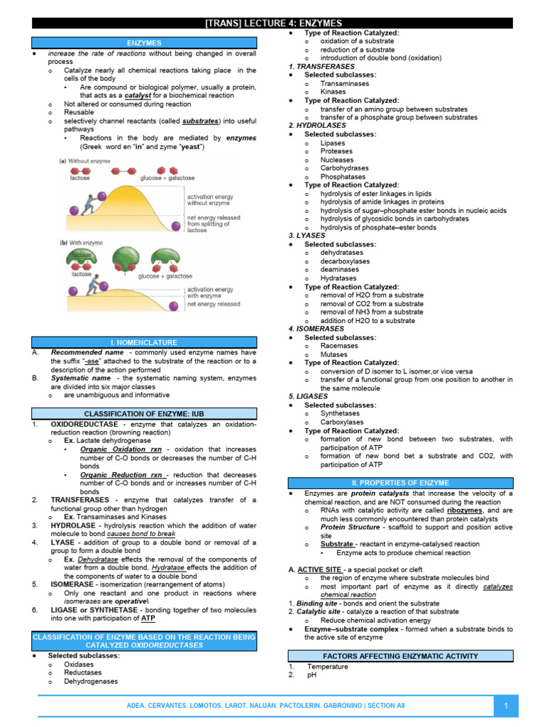 TRANS BIO 024 Lecture 4 Enzymes | PDF | Enzyme | Enzyme Inhibitor