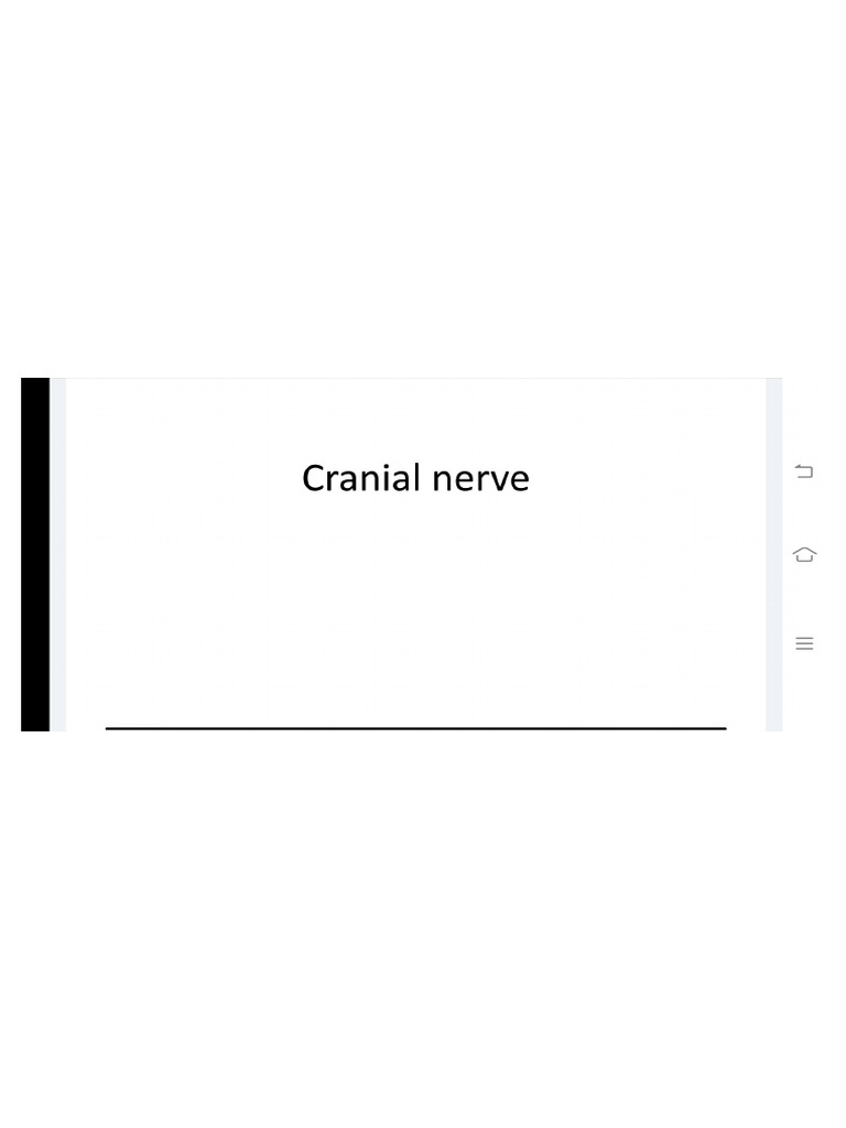 Cranial Nerve Nuclei | PDF
