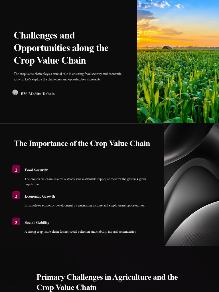 Challenges and Opportunities Along the Crop Value Chain | PDF | Supply ...