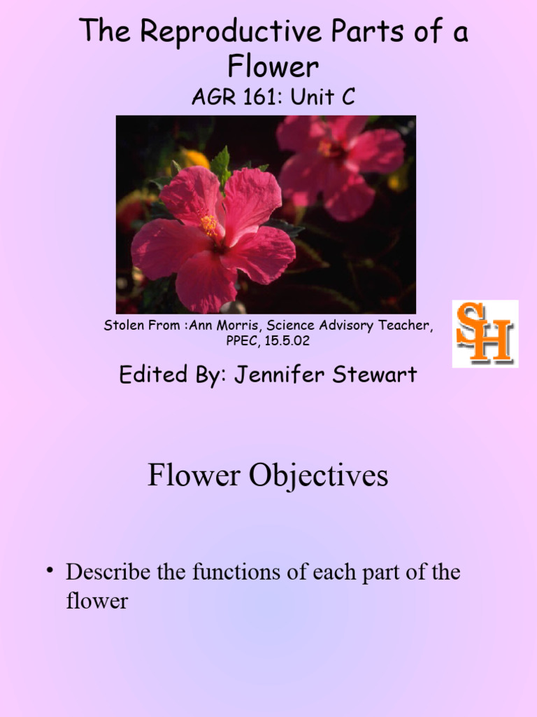 Day 6 Reproductive Parts of A Flower | PDF | Flowers | Plant Reproduction