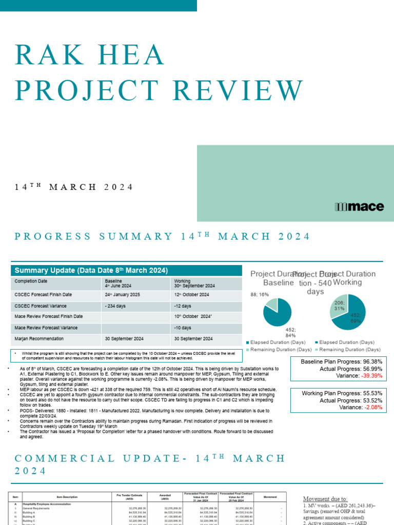 RAK HEA - Project Review - 14.03.2024 | PDF | Procurement