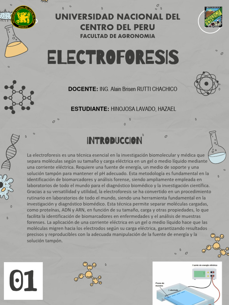 Electroforesis Haza | PDF | Electroforesis | Proteínas