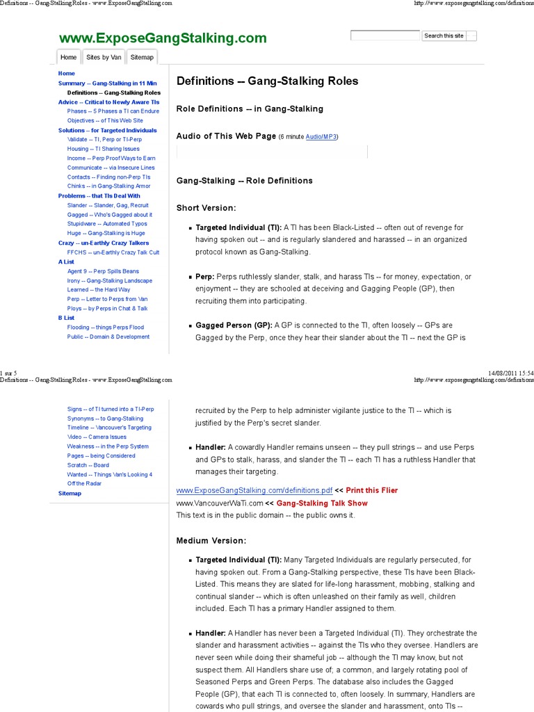 Understanding Gang-Stalking Roles | PDF | World Wide Web | Internet & Web