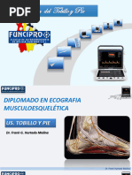 Evaluacion Ecografica de Tobillo | PDF | Tobillo | Pie