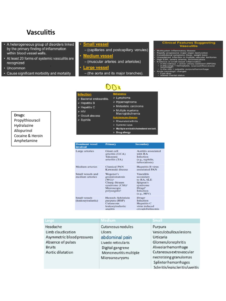 Vasculitis | PDF