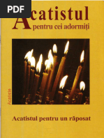 Pomelnic Model | PDF