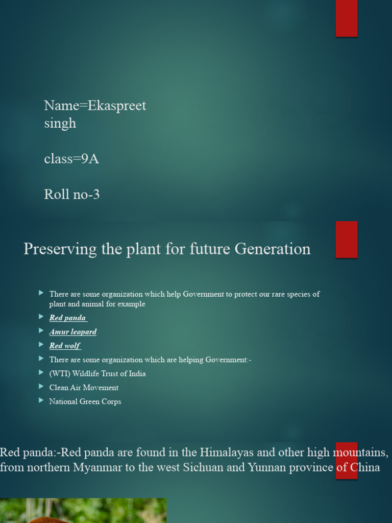 Name Ekas Preet Singh Class 9A Roll No 3 | PDF | Waste | Reuse