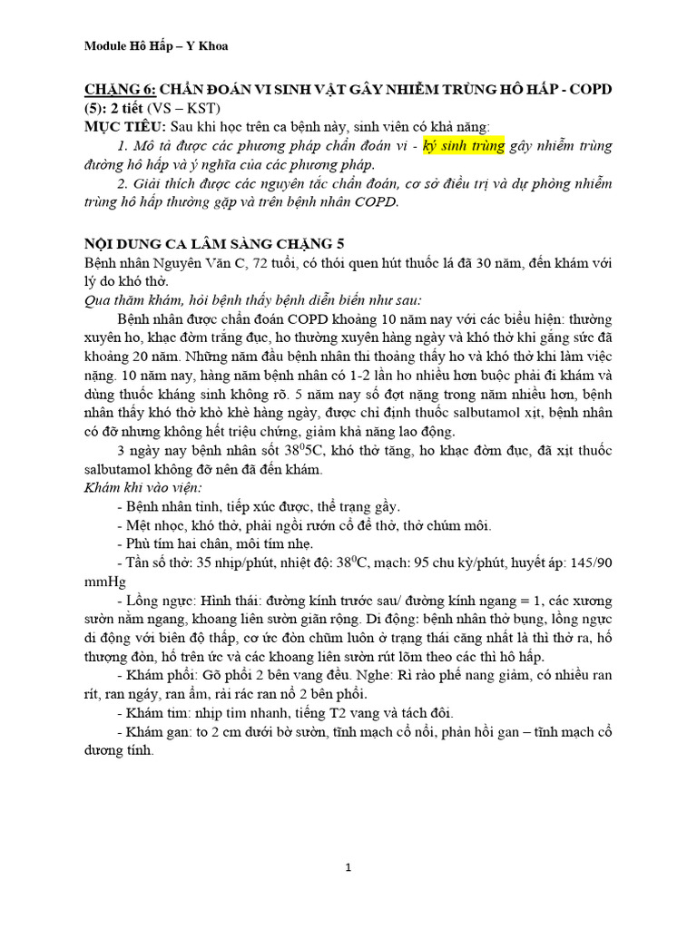 CA LÂM SÀNG COPD - Chặng 6 - bổ sung KST | PDF