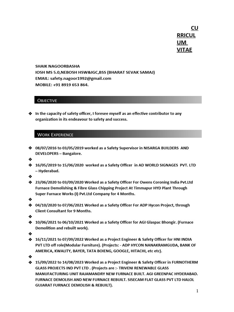 Nagoor Basha CV 2 | PDF