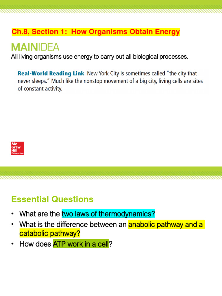 Classroom Presentation Toolkit How Organisms Obtain Energy | PDF ...