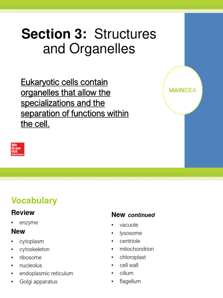 CH 7 3 Structures and Organelles .. | PDF | Cell (Biology) | Organelle