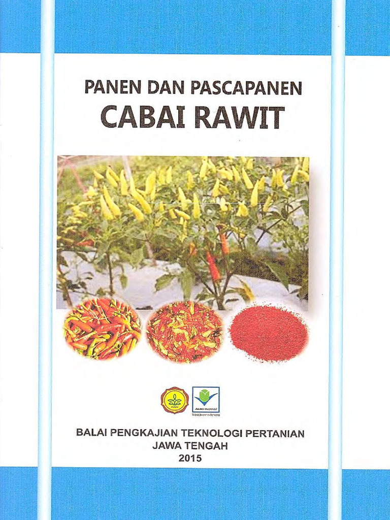 Panen Cabai | PDF