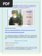 Pomelnic Model | PDF