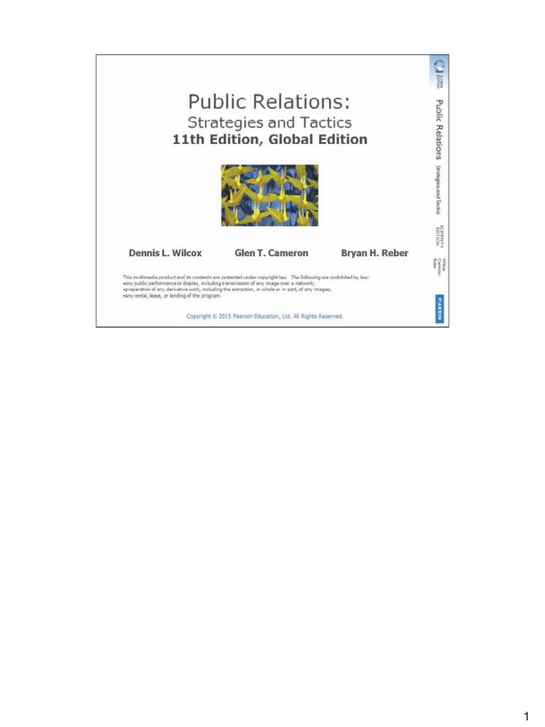 Public Opinion Role Scope and Implications | PDF