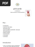 Anatomie et fonctions du péricarde | PDF | Aorte | Cœur
