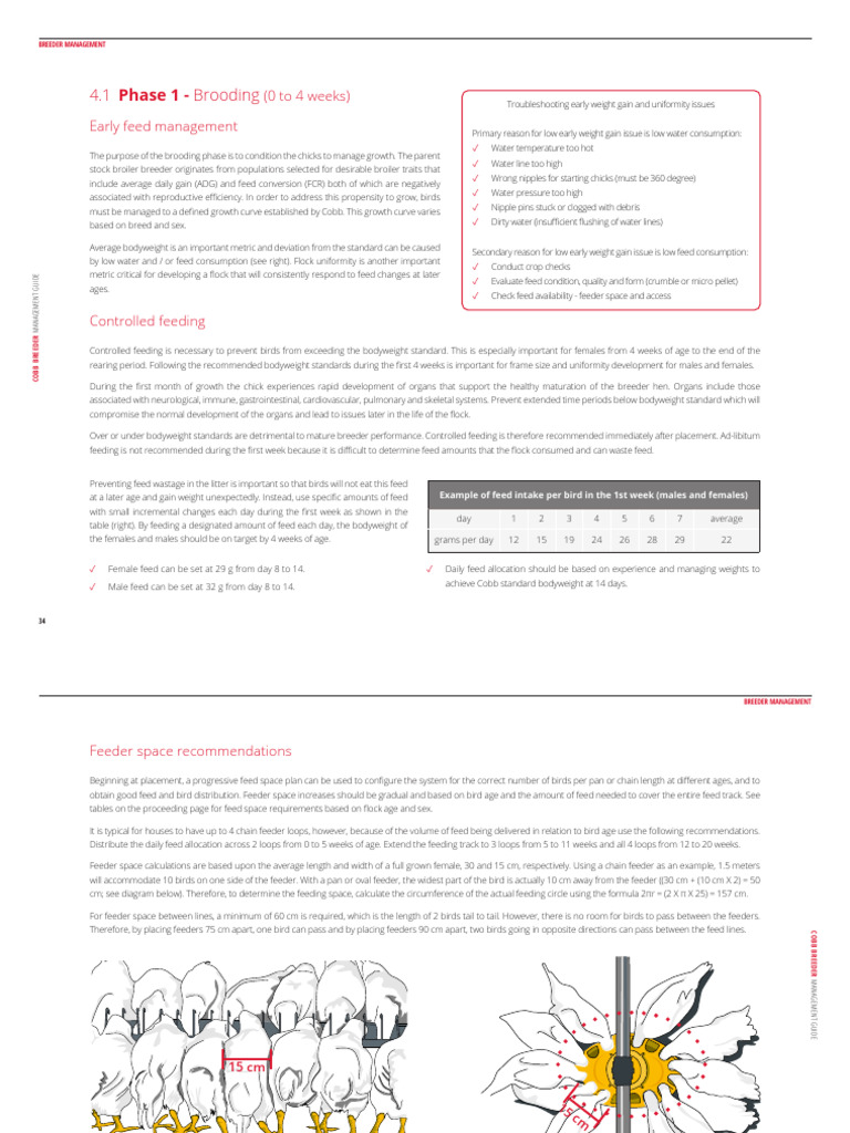 Breeder Guide 2021 - Phase 1 Brooding | PDF | Broiler | Sampling (Statistics)