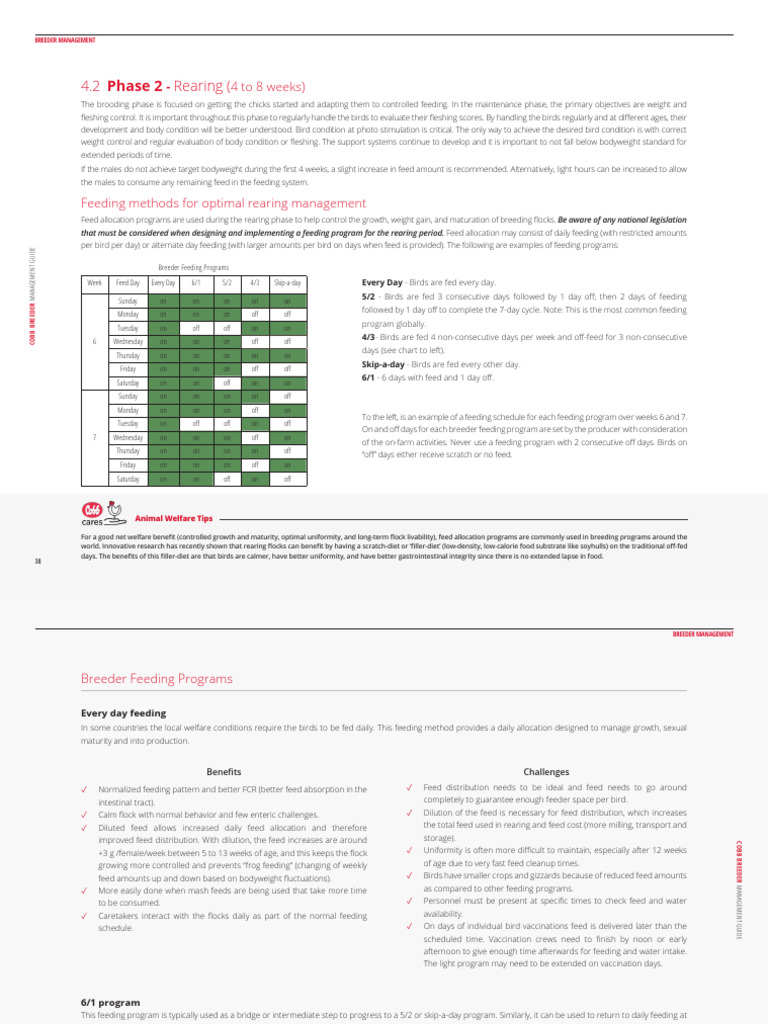 Breeder Guide 2021 - Phase 2 Rearing and 3 Maintenance | PDF | Birds