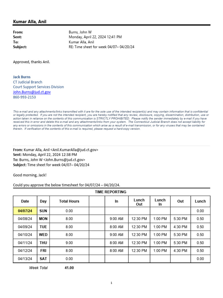 CSSD Timesheet 04072024 - 04202024 | PDF | Justice | Crime & Violence