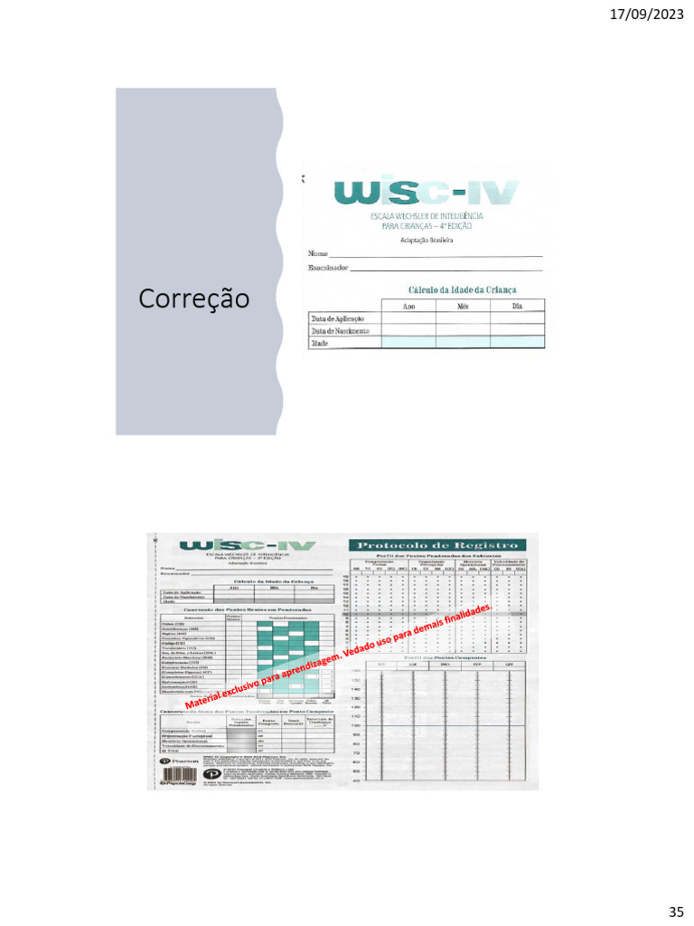Resumo Wisc | PDF | Cognição | Psicologia Cognitiva