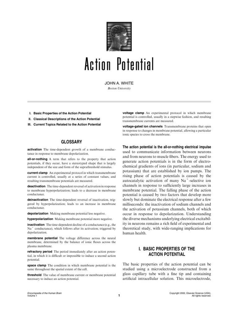 first-page-pdf | PDF | Action Potential | Membrane Potential