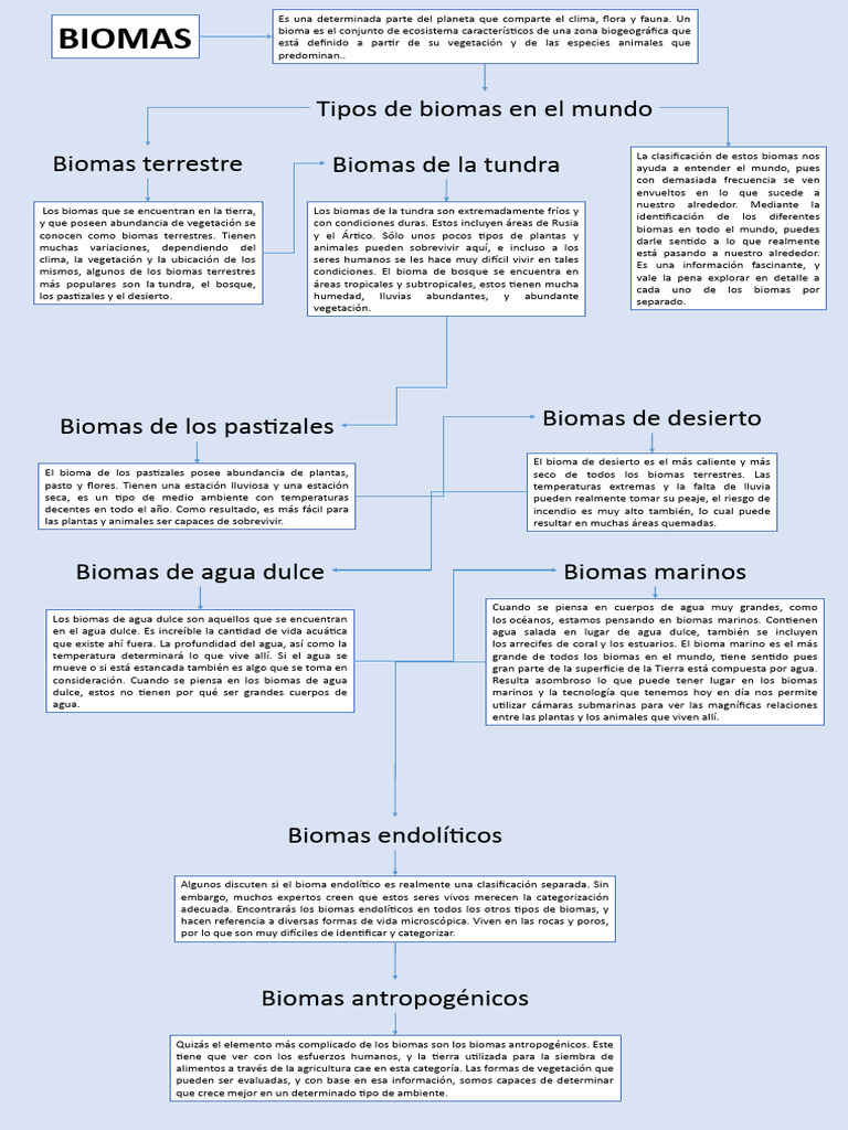Mapa Conceptual de Los Biomas 3 | Descargar gratis PDF | Ecorregiones ...