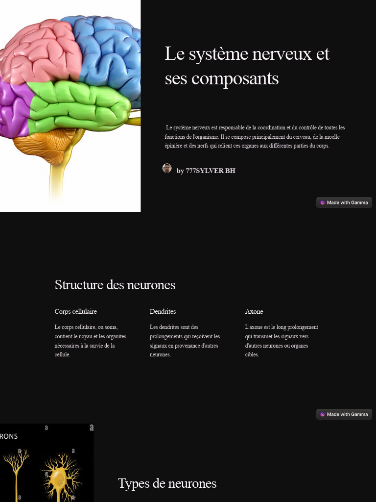 Le Systeme Nerveux Et Ses Composants | PDF | Neurone | Système nerveux