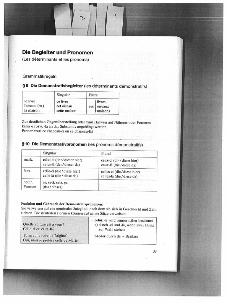 Begleiter Und Pronomen | PDF
