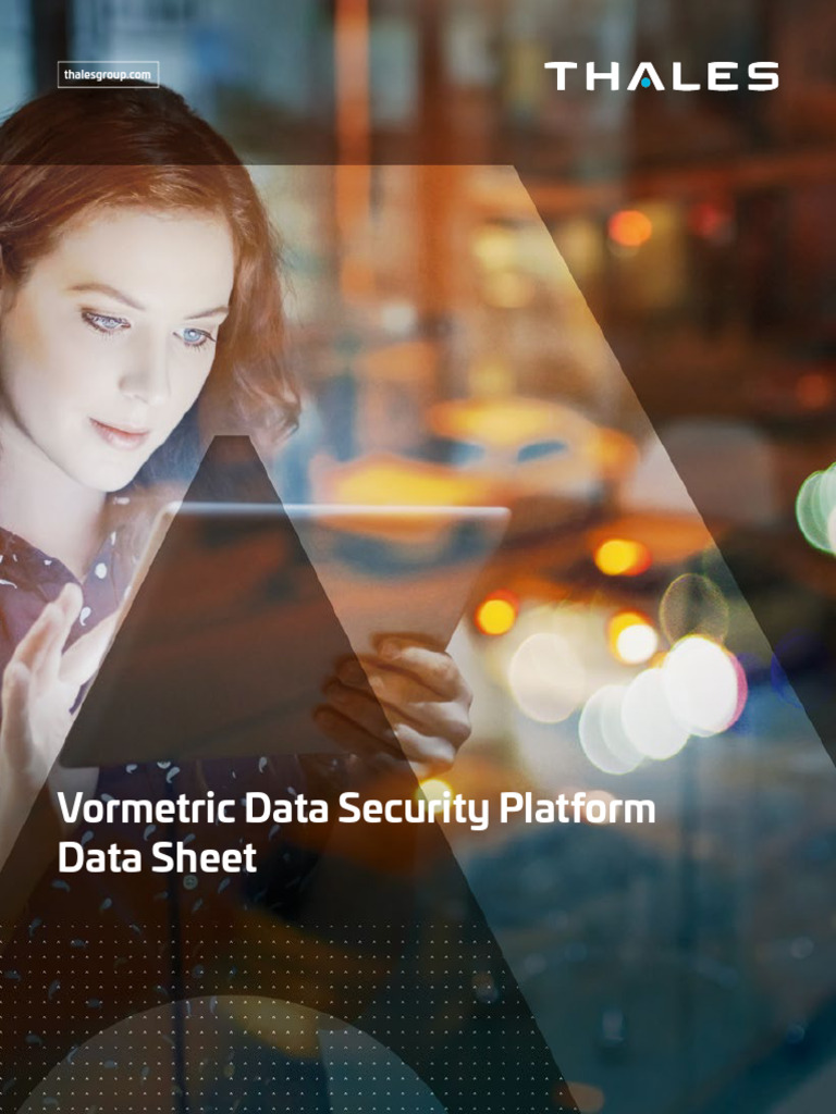 Vormetric Data Security Platform Overview | PDF | Cloud Computing ...