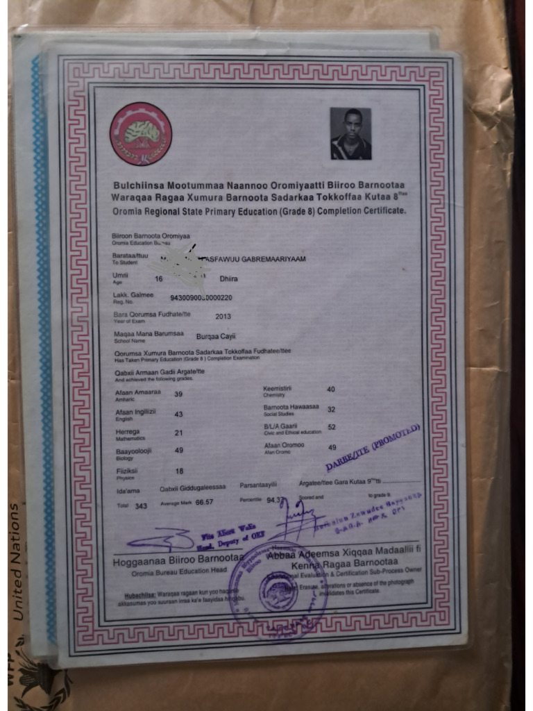 Split 20240528 1704 | PDF