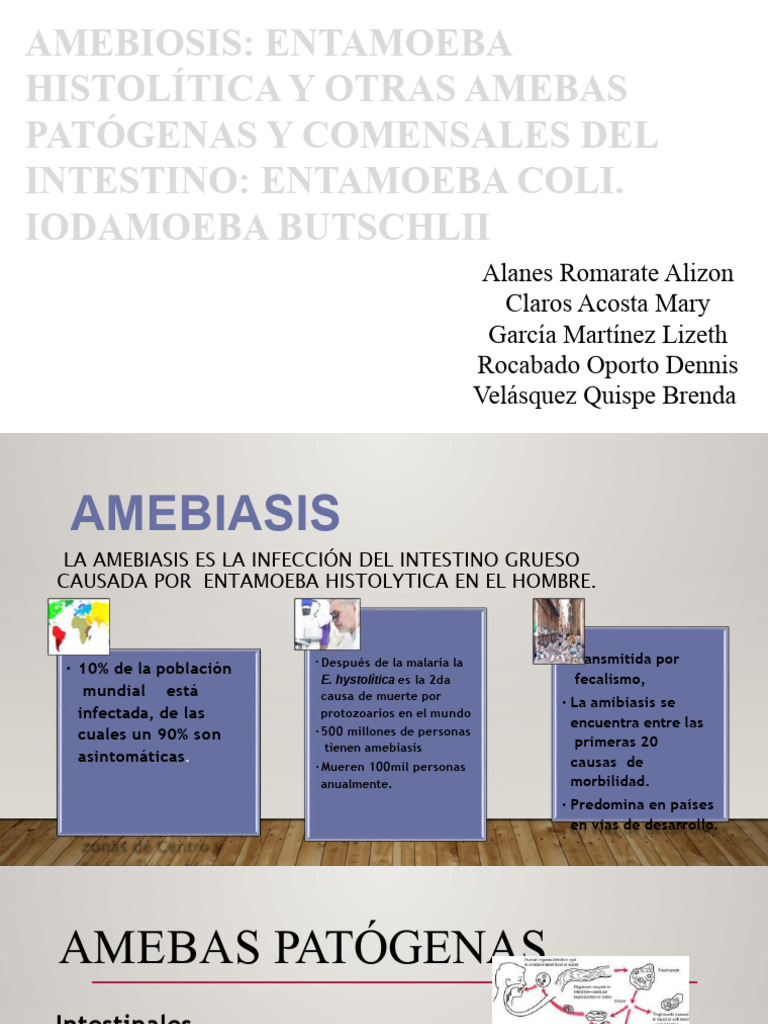 Amebiasis: Causas, Síntomas y Tratamiento | PDF | Especialidades ...