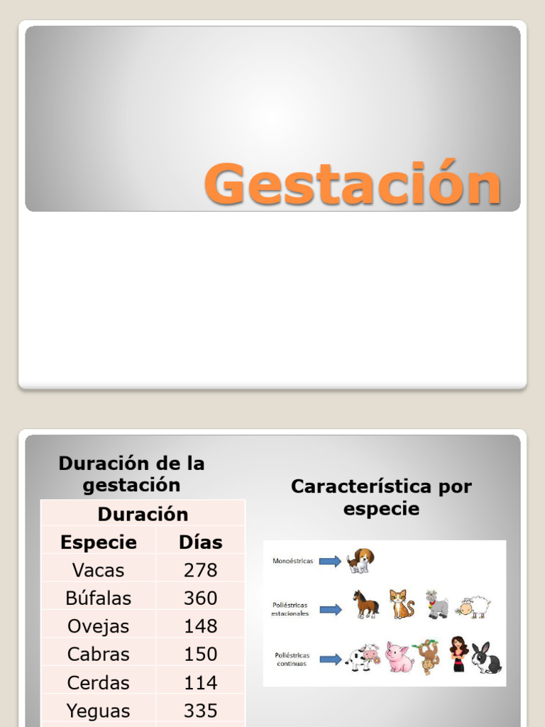 Reproduccion 2do Parcial | PDF | Placenta | Parto