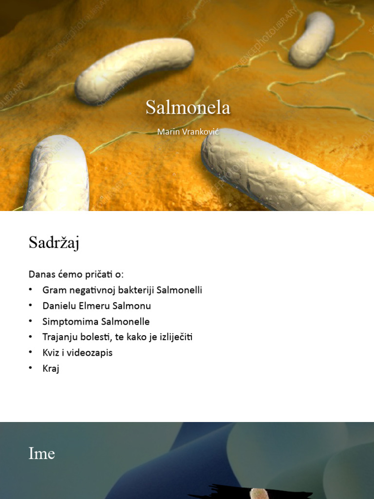 Salmonella | PDF