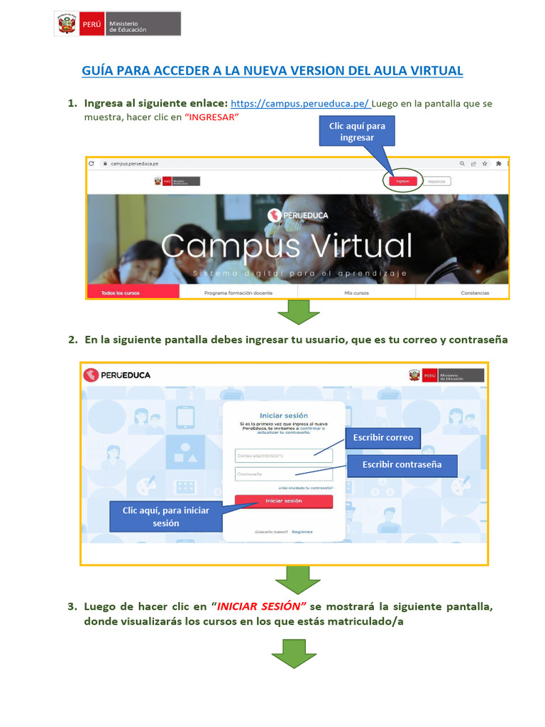 Acceso al Aula Virtual Actualizada | PDF